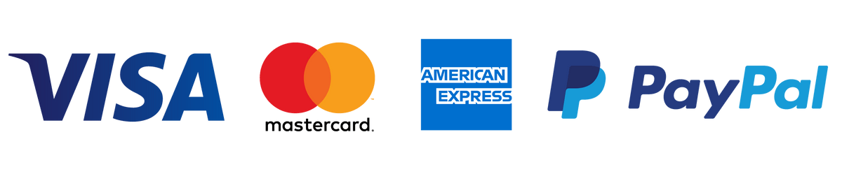 Mangosteen Chopper Electric Bike FT02 Ebike Best for You