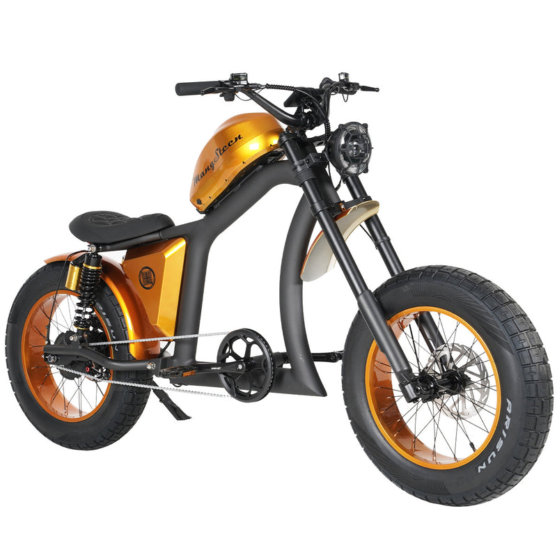 Mangosteen Chopper Electric Bike FT02 Ebike Best for You