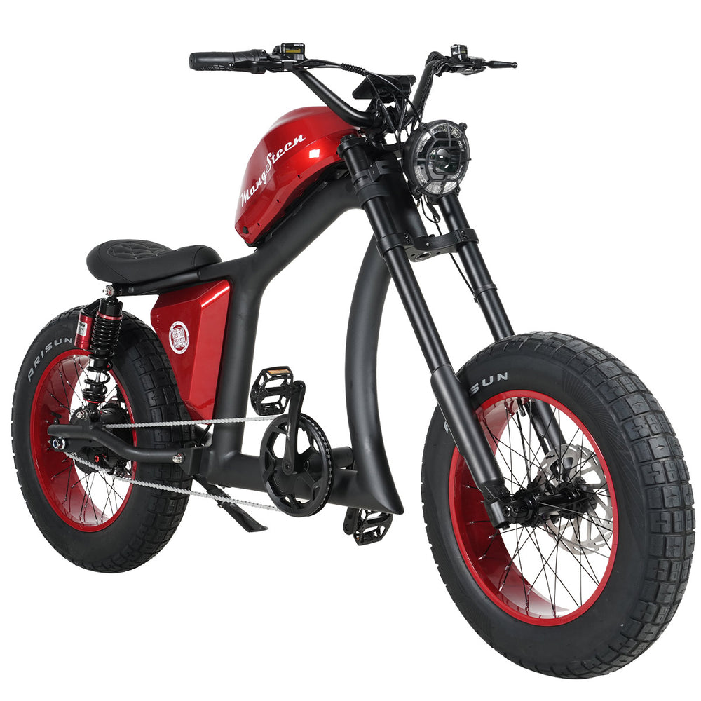 Mangosteen Chopper Electric Bike FT02 Ebike Best for You