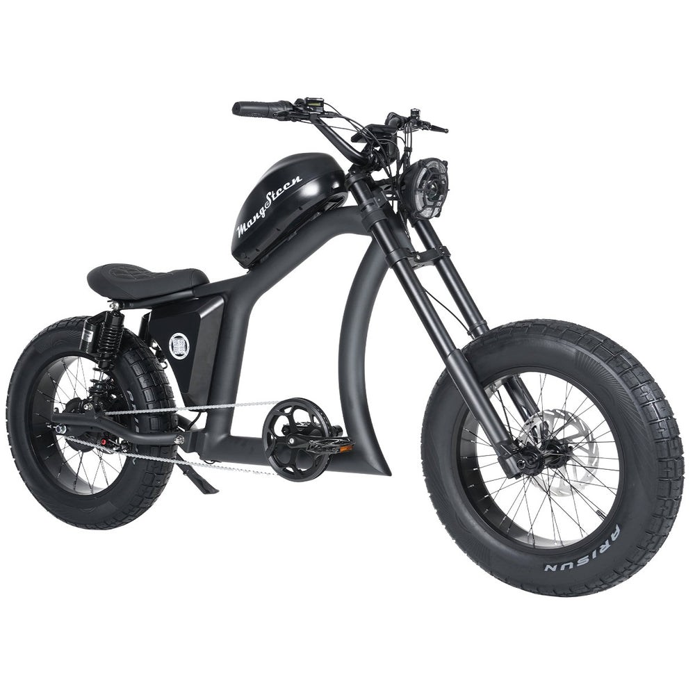 Mangosteen Chopper Electric Bike FT02 Ebike Best for You