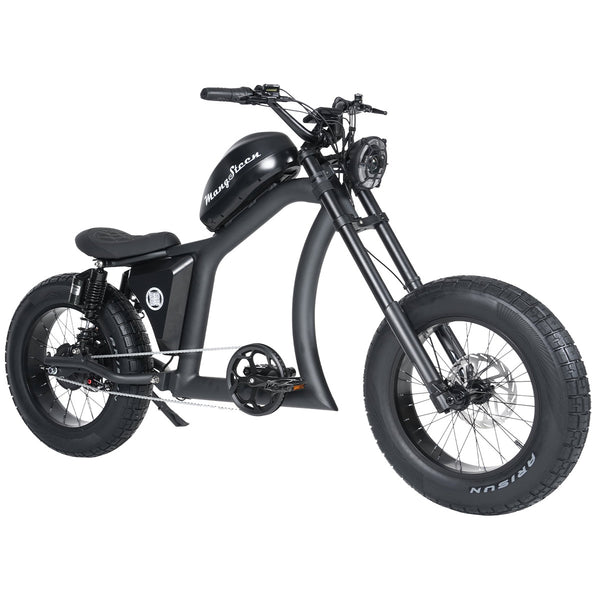 Mangosteen Chopper Electric Bike FT02 Ebike Best for You