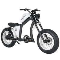 Mangosteen Chopper Electric Bike FT02 Ebike Best for You